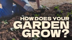 Friedberg Moravian Church - Welcome